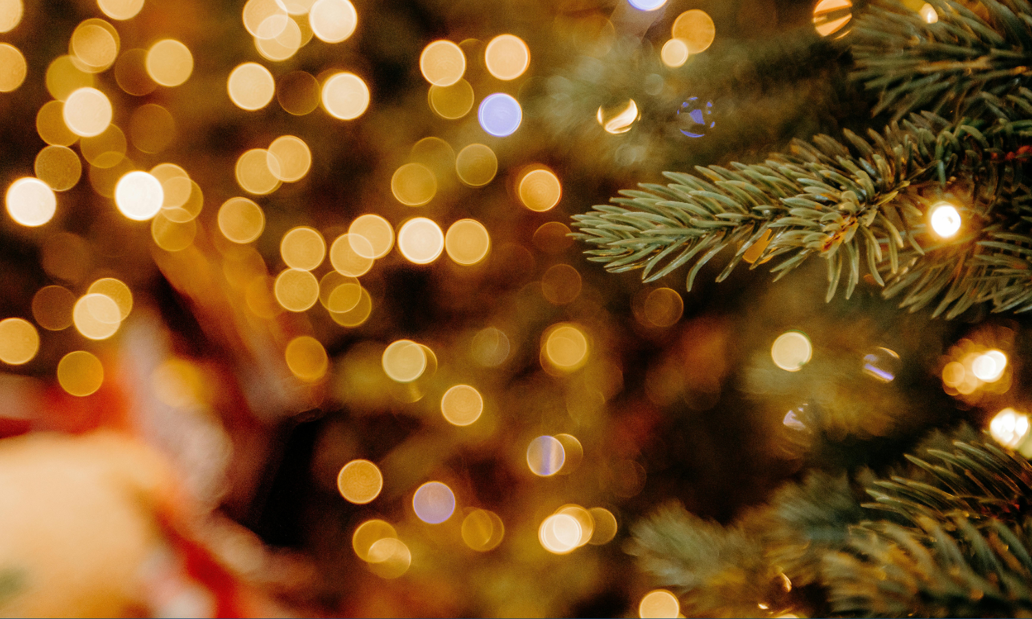 The Tyrie Family’s Christmas Traditions
