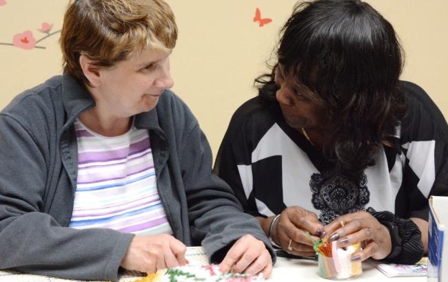 What is a Direct Support Professional (DSP)